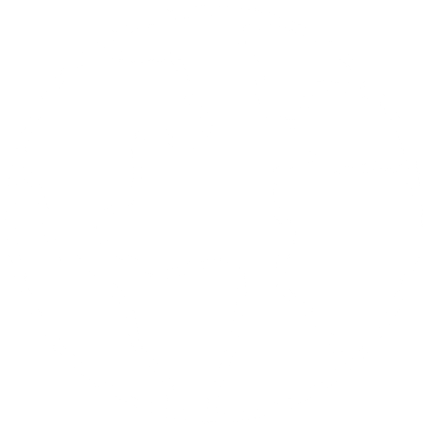 License Plate Flippers (EU Style) | Remote Plate Switcher – 510 Auto Group