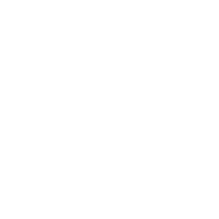 License Plate Flippers (EU Style) | Remote Plate Switcher – 510 Auto Group
