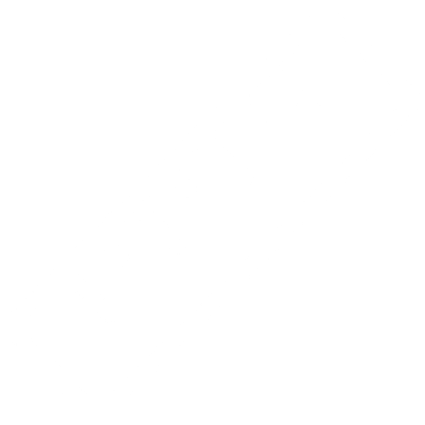 License Plate Flippers (USA Style) | Remote Plate Switcher – 510 Auto Group