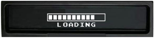 Custom Stealth Plate | 510 Auto Group